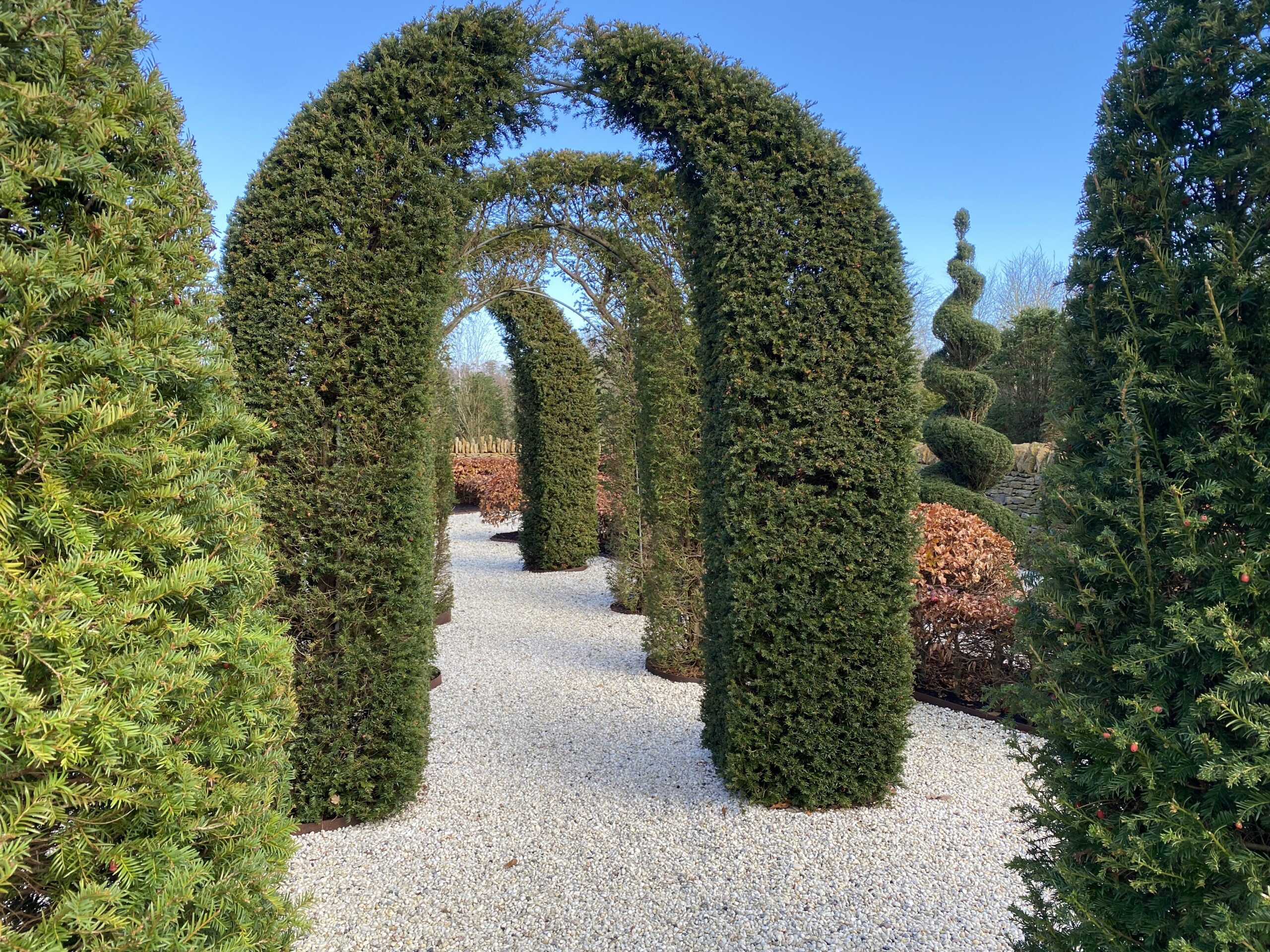 Gardening with Elly West: Shape up with topiary - The Bath Magazine