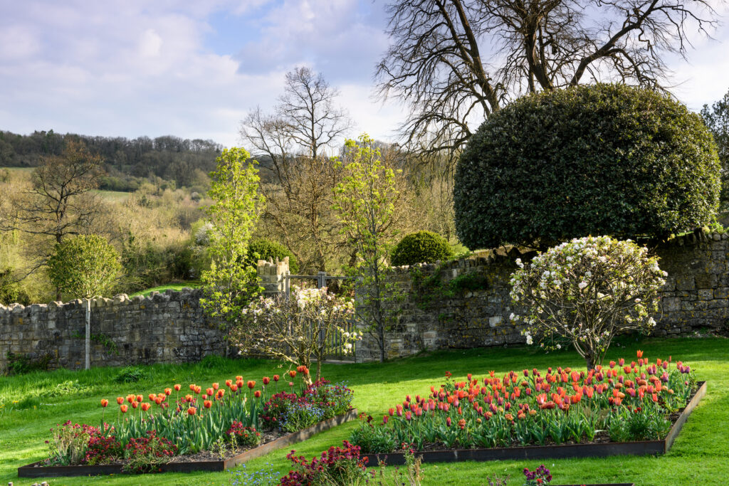Caisson Gardens - The Bath Magazine