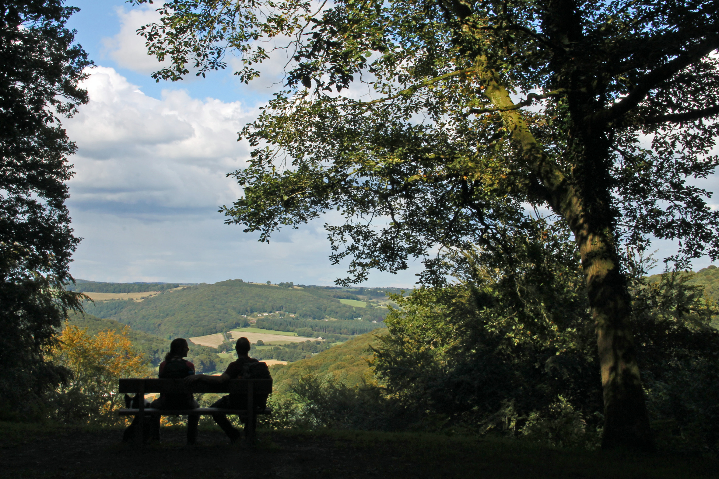 Walks with Andrew Swift: Cleddon Shoots and Falls - The Bath Magazine